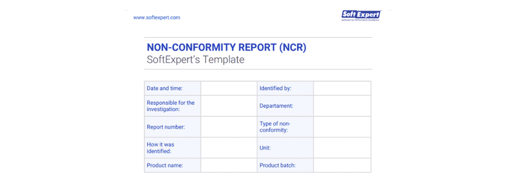 EXCLUSIVE Non-Conformity Report Template