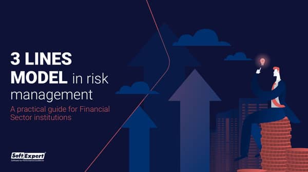 The 3 Lines Model in Risk Management - a Practical Guide for Financial ...